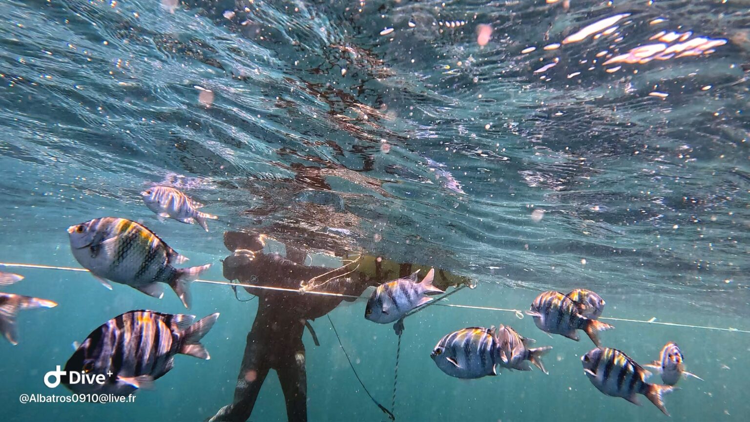 Verticalité & exploration à DAHAB | Blue-Addiction